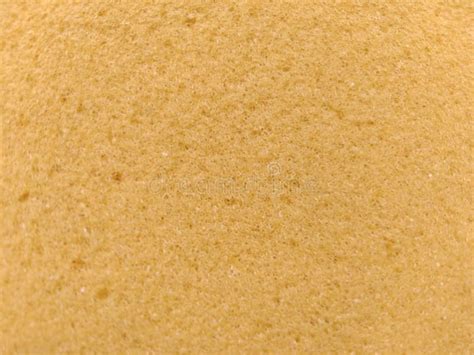 Air Bubbles And Texture On The Sponge Stock Image Image Of Breakfast