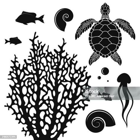 바다 생물 실루엣 고립 된 해파리 바다 거북 산호 껍질 와 물고기 통하고 있는 하얀 배경 추상 암초 벡터 거북이에 대한 스톡