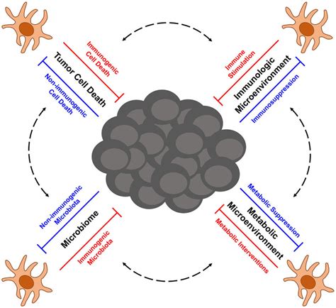 Multifactorial Influences On The Function Of Melanoma Associated