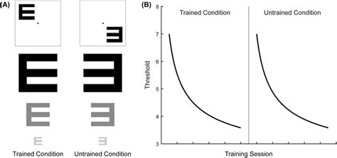 Enhancement Of Visual Perception By Combining Transcranial Electrical