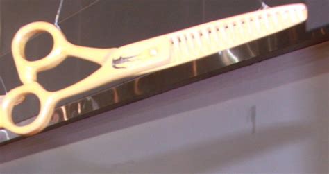 내 마누라 왜 넘봐 변호사 성기 자른 로스쿨생 위키트리