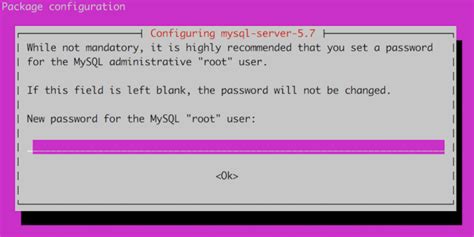 nginx와 nginx unit 앱 서버로 wordpress 설치 nginx store