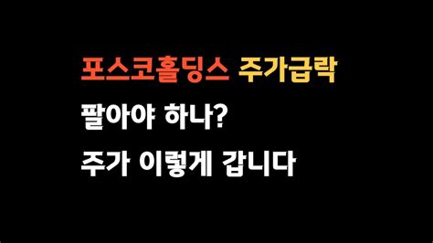 Posco홀딩스 주가 급락 전저점 깨지나 포스코홀딩스 포스코홀딩스주식 Youtube
