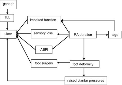 Directed Acyclic Graph Representing Hypothesized Causal Pathway Of Foot