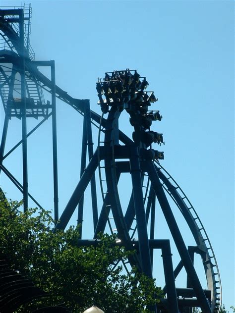 Wordpress Learning Curve In 2021