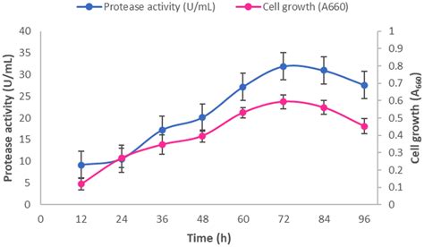 Fermentation Time Course For Cell Growth And Extracellular Protease