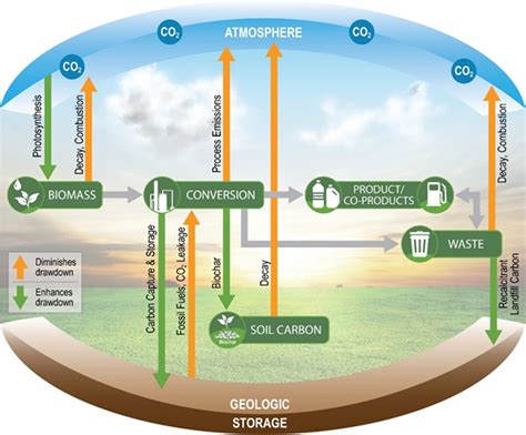 Biomass Carbon Removal And Storage Bicrs Solutions Lot21