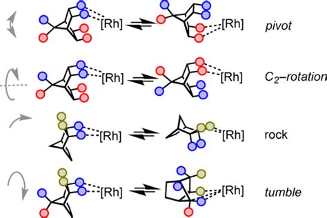 Selective Ch Activation At A Molecular Rhodium Sigma Alkane Complex By