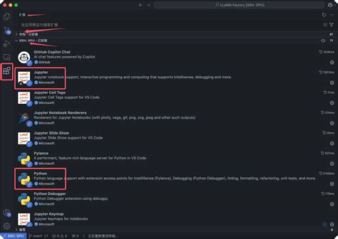 Vs Code助力python远程开发 月青悠