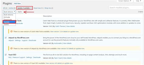 How To Update Plugins In WordPress DevotePress