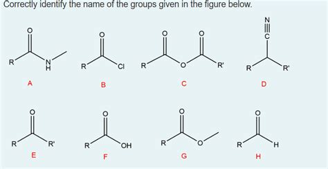 solved correctly identify the name of the groups given in