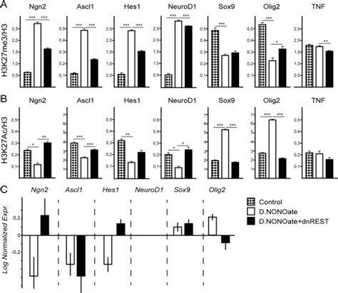 Altered Histone Modifications At Specific Gene Promoters After Nitric
