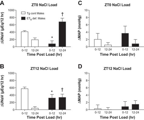 Loss Of Endothelin B Receptor Function Impairs Sodium Excretion In A