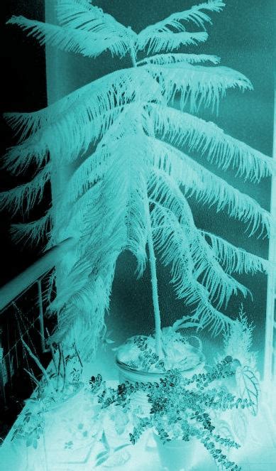 Hellan By Voidermann On Deviantart