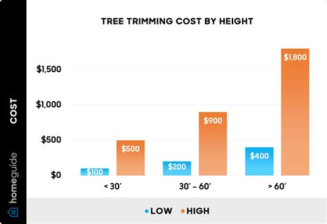 Tree Trimming Costs Prices Tree Pruning Cost