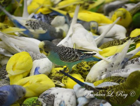 Barlee Photography Added A New Photo Barlee Photography