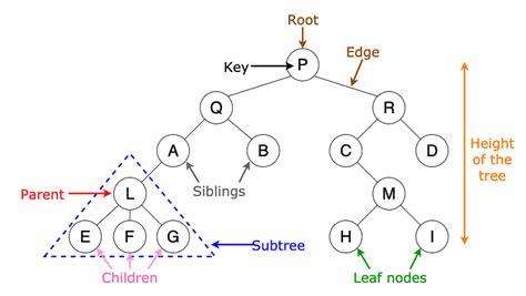 60 Tree Data Structure Coding Interview Questions For Experienced Programmers