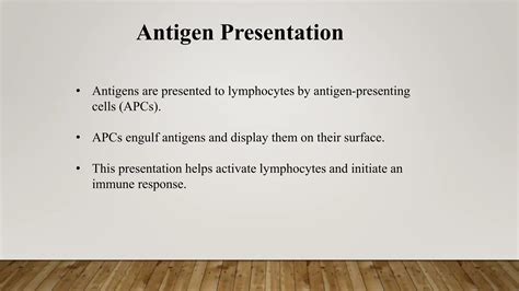 What Is Antigen Presentation Pptx Chemistry Ppt Ppt