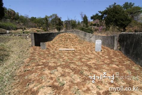 벽제묘지 5구역 김oo님 산소 사초작업 후의 모습입니다 경기도 고양시 파주시 묘지이장 묘지화장 묘지개장 잔디작업 사례 경기장묘 서울시립용미리제1묘지 용미리제2묘지