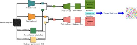 unsupervised learning on particle image velocimetry with embedded cross