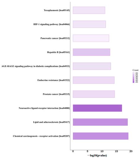 Fermentation An Open Access Journal From Mdpi
