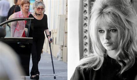 Clipe Cumplite Pentru Brigitte Bardot Cea Mai Frumoasă Actriță A Franței Din Toate Timpurile Se