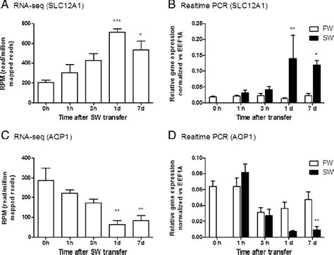representative validation of quantitative transcriptome by realtime