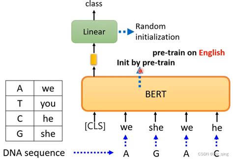 Self Supervised Learning Selfsupervised Learning Csdn