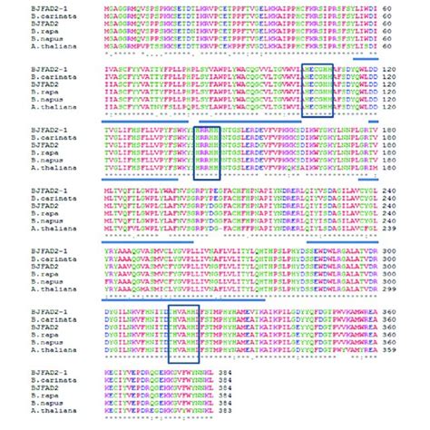 Pdf The Fad2 Gene In Plants Occurrence Regulation And Role