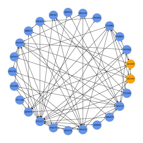 Github Hanya Ahmadppi Network Analysis