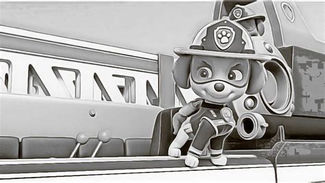 Skye Skye Paw Patrol Fan Art 42940368 Fanpop Page 14