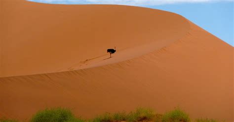 Nur Keine Hektik Themenwoche Galerie Mactechnewsde