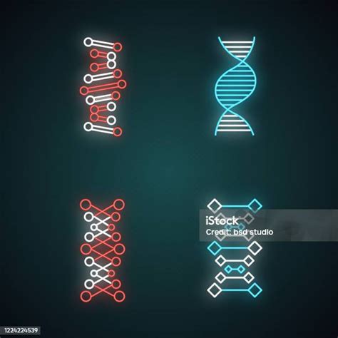 Dna 체인 네온 라이트 아이콘 세트 데옥시리보핵 핵산 나선 나선형 가닥 염색체 분자 생물학 유전 코드 유전학 의학 빛나는 징후 벡터 절연 일러스트레이션 0명에 대한 스톡