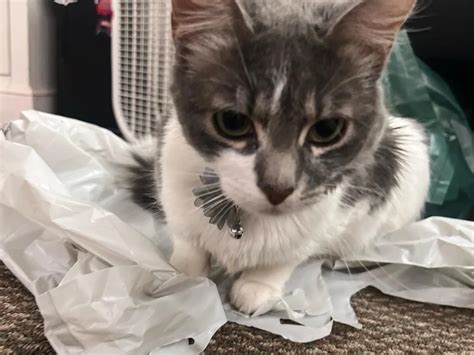 Any Form Of Data Entry Research Or Just Any Computer Work Upwork