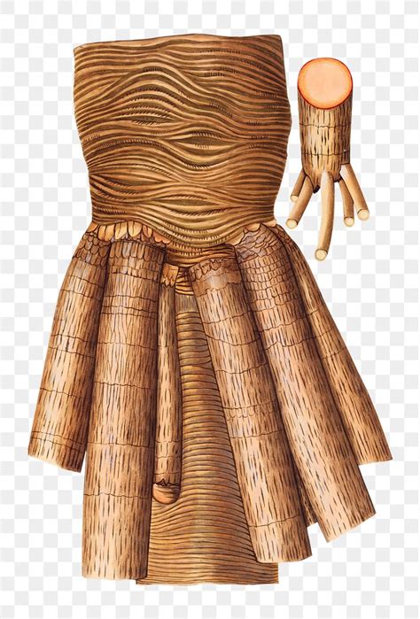 Tree Roots PNG Images Free Photos PNG Stickers Wallpapers Backgrounds Rawpixel