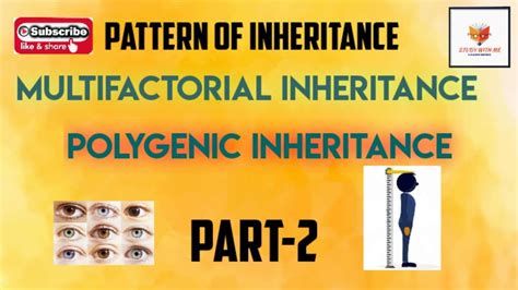 Multifactorial Polygenic Inheritance Part YouTube