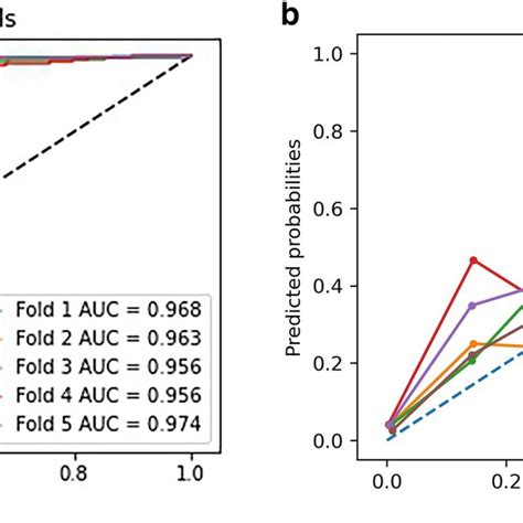 Deep Learning Model A Area Under The Curve And B Calibration Curves
