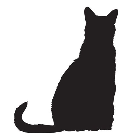 Tuxedo Cat Royalty Free Vector Image Vectorstock