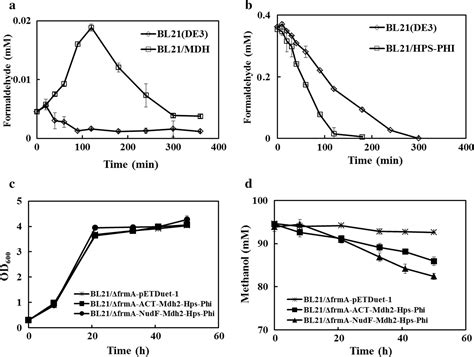Methanol Aus Fermentation
