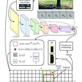 Conceptual Diagram Of The Detection Algorithm Download Scientific Diagram