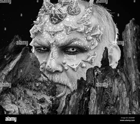 Warts On Bark Black And White Stock Photos Images Alamy