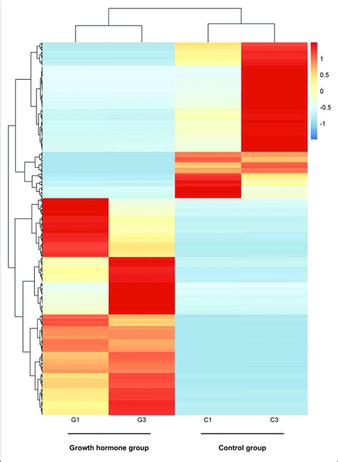 The Heatmap Of Distinct Gene Expression Profiles In Gh Cultured Download Scientific Diagram