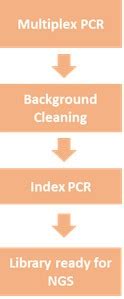 Amplicon Sequencing Solution For Targeted Amplicon Sequencing