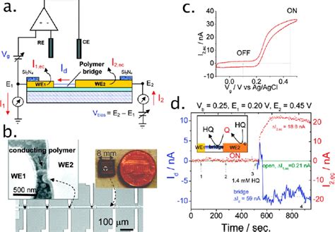 A Schematic Illustration Of A Hybrid Amperometric And Conductometric Download Scientific