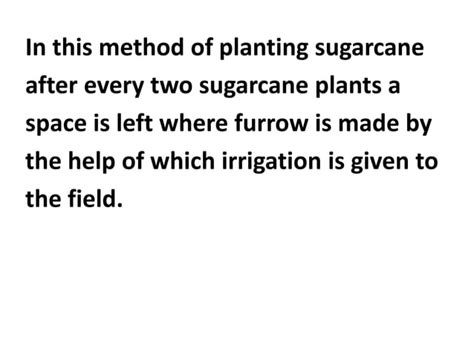 Skip Furrow Irrigation In Sugarcane Pptx Agriculture Industries
