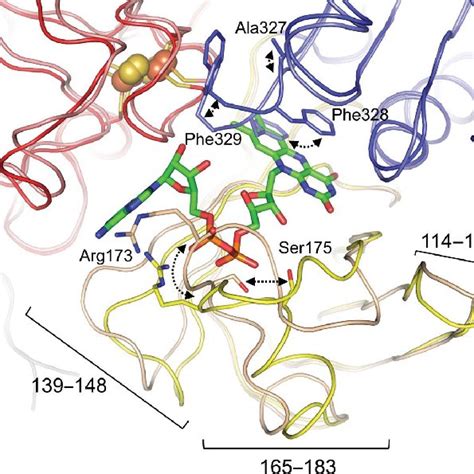 Pdf Crystal Structure Of The Ferredoxin Reductase Component Of Carbazole 19a Dioxygenase From