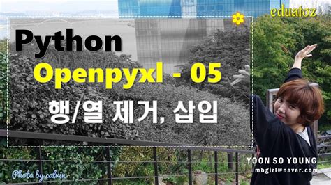 PYTHON openpyxl 05 여러 시트에 동일 작업하기 YouTube