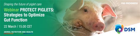 Webinar Protect Piglets Strategies To Optimize Gut Function Pig