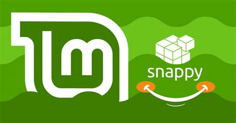 How To Enable Snap On Linux Mint And Install Snap Packages