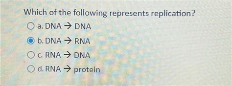 Which Of The Following Represents Replication A DNA Chegg